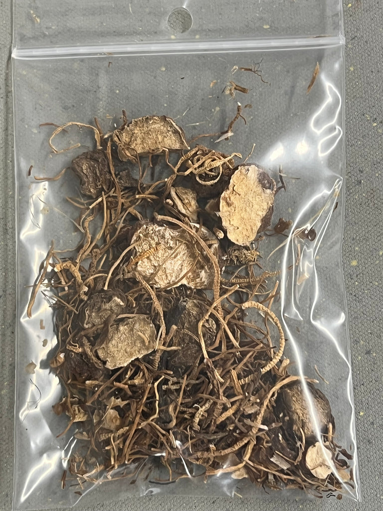 Beth Root (Pieces) – The Witch Depot