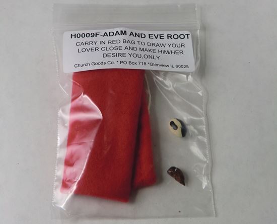 Adam and Eve Root – The Witch Depot